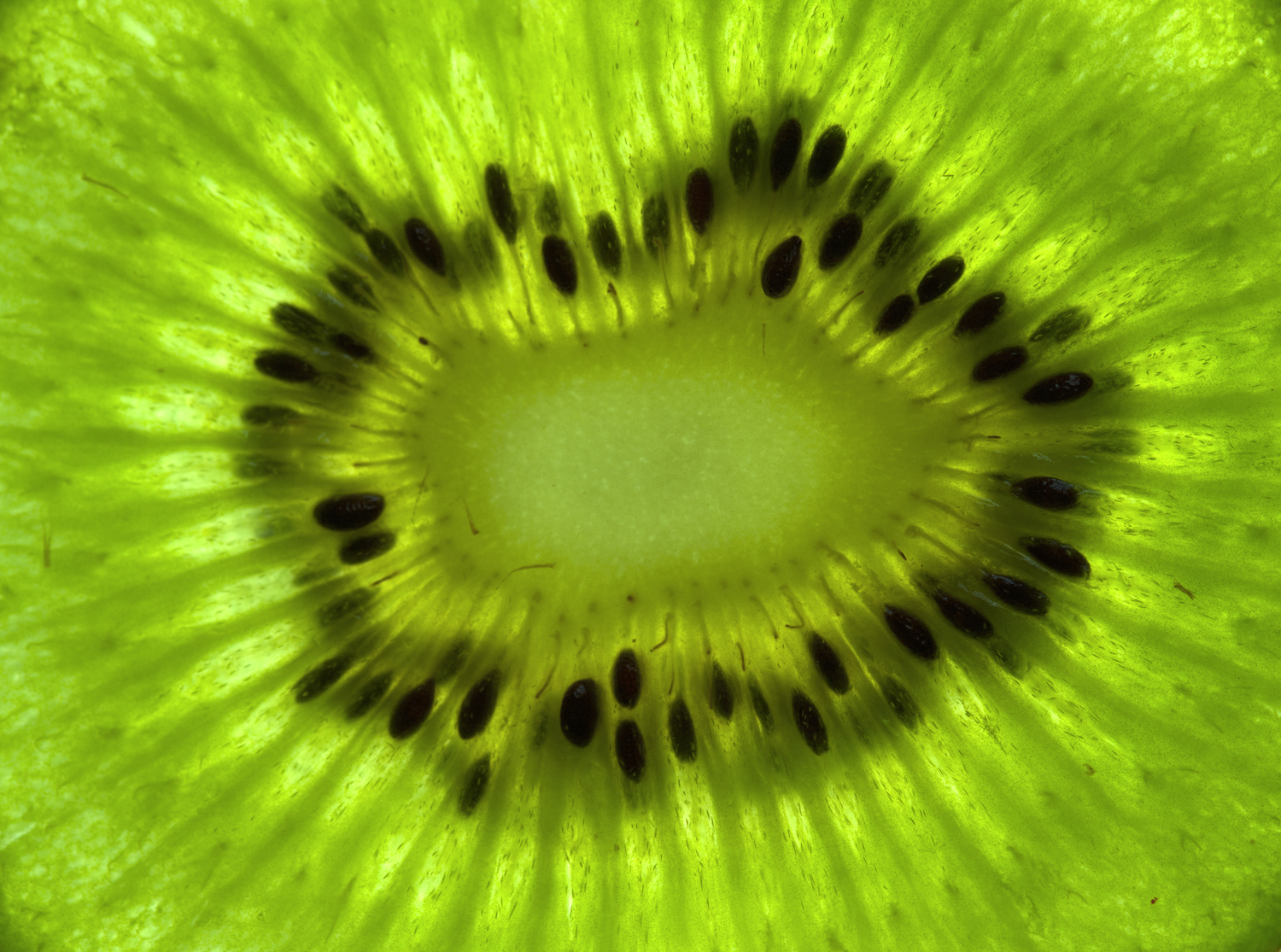 Benvenuti ai Tenti - Willkommen bei Tenti - Tenti-Webshop